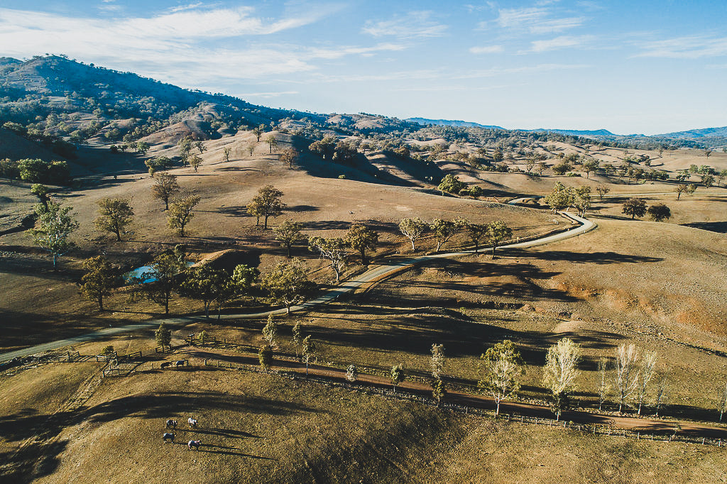 Residential – SOURCE