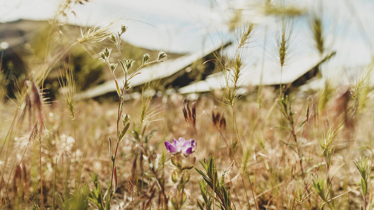 Confederated Tribes of Warm Springs building water resilience – SOURCE